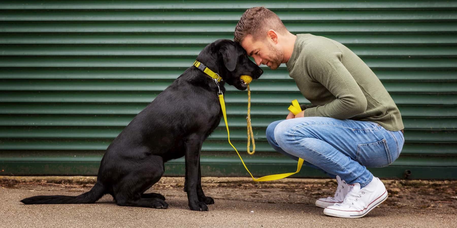 The Power of Dogs on Our Mental Health | Dog-ease